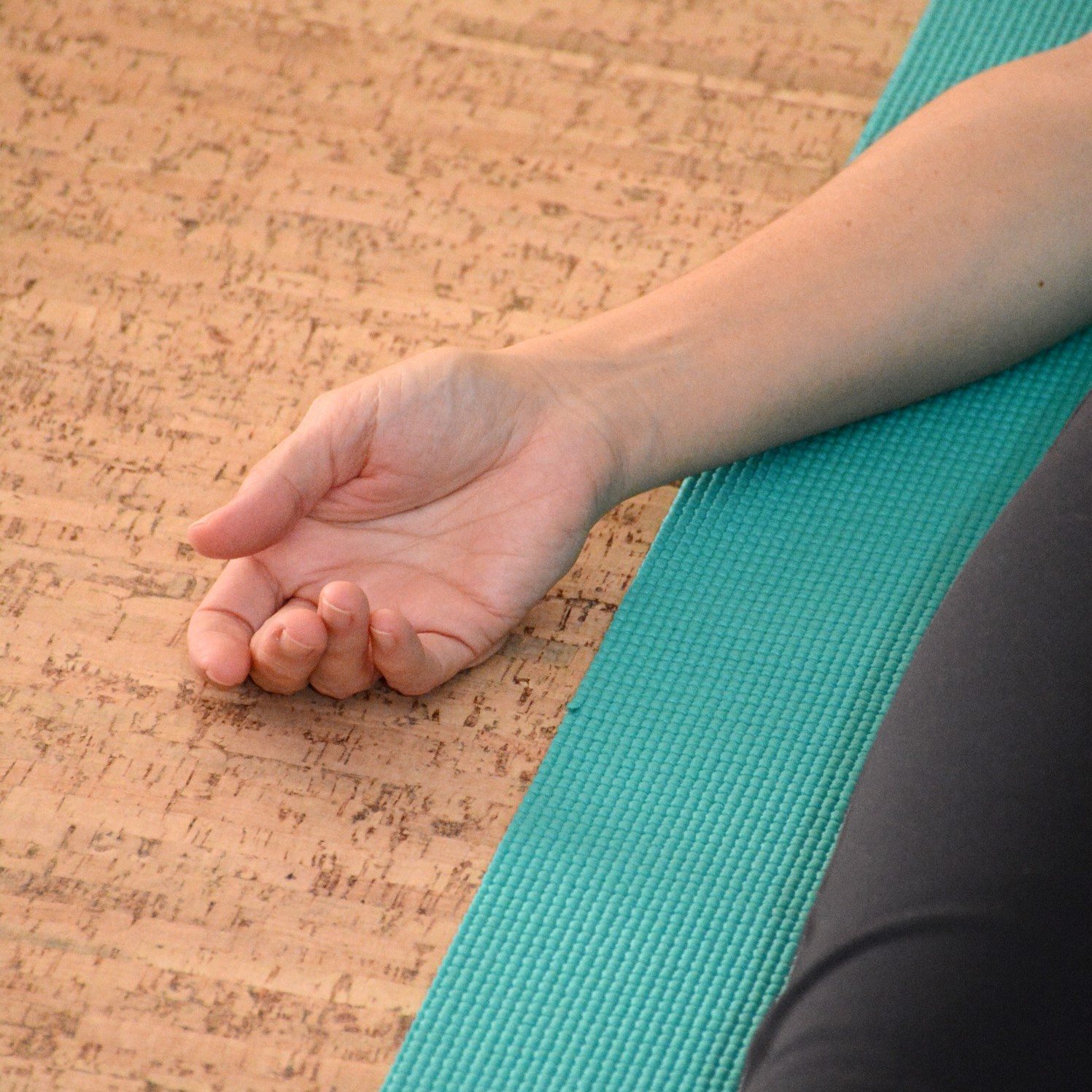 Online Compassionate Movement – BodyInUnity Yoga School